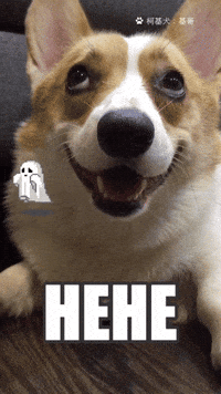 Hehe Boi Meme GIFs - Find & Share on GIPHY