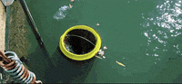 Plastic Pollution GIFs - Find & Share on GIPHY