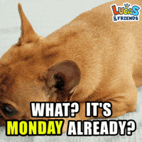Where Did The Weekend Go GIFs - Find & Share on GIPHY
