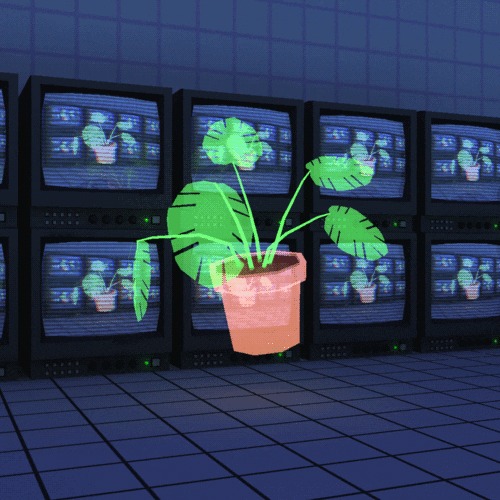 Ghost Plant By Jjjjjohn