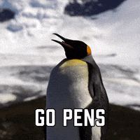 Pens GIFs - Find & Share on GIPHY