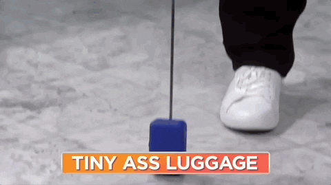 GIFs - Find & Share on GIPHY