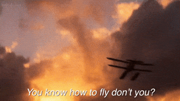 illustration flying GIF by Thoka Maer