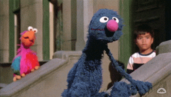 grover GIF by Sesame Street