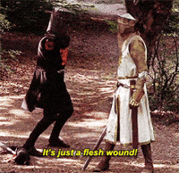 Monty Python Memes GIFs - Find & Share on GIPHY