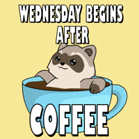 Wednesday Coffee GIFs - Find & Share on GIPHY