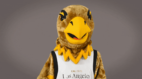 Eddie The Golden Eagle GIFs - Find & Share on GIPHY