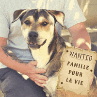 Gifs De Citations Sur La Vie