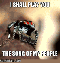 Spider Bongo GIF by Cheezburger - Find & Share on GIPHY