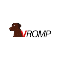 VROMP GIFs on GIPHY - Be Animated