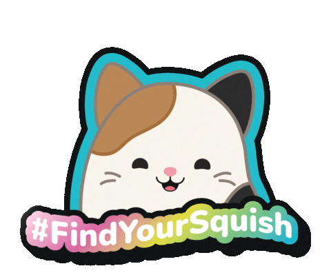 Squishmallows Day 2025 GIFs on GIPHY - Be Animated