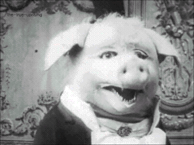 Cochon GIFs - Get the best GIF on GIPHY