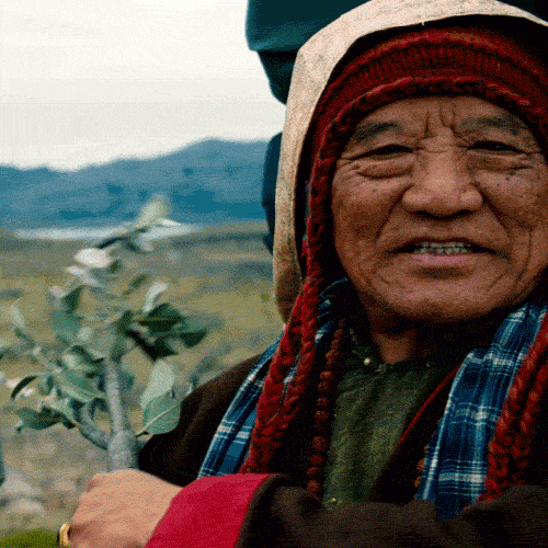 Secret-life-of-watler-mitty GIFs - Get the best GIF on GIPHY