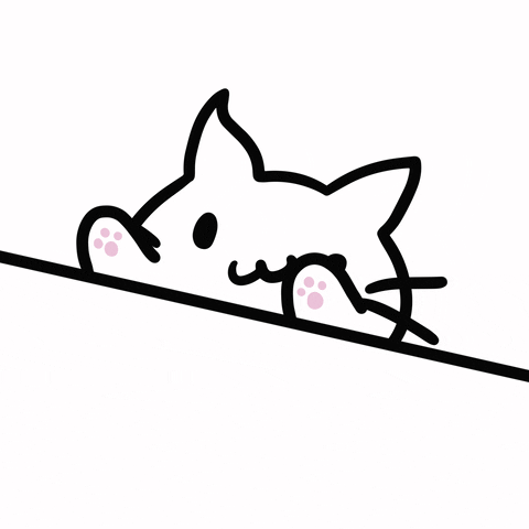 Gaming Cat GIFs - Get the best GIF on GIPHY