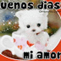 Love Poodle GIFs - Get the best GIF on GIPHY