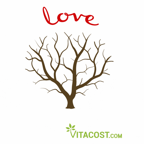 Love Tree GIFs - Get the best GIF on GIPHY