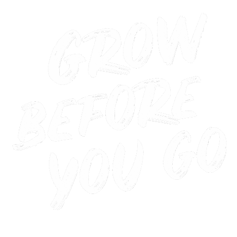 IT Project GIFs on GIPHY - Be Animated