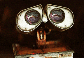 Nozes E Castanha GIFs - Get the best GIF on GIPHY