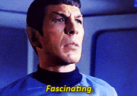 Spock Raised Eyebrow Gif