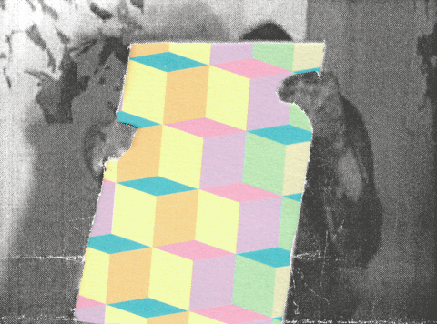 CREATE YOUR OWN GIFS by Beeld & Geluid | GIPHY