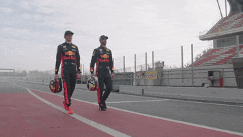 Ver Formula 1 GIF by Red Bull Racing - Find & Share on GIPHY