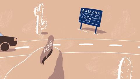 Arizona Driving GIF by Daniela Sherer - Find & Share on GIPHY
