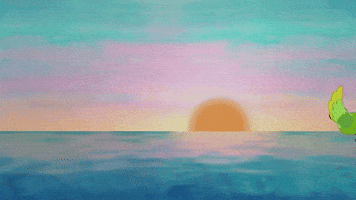 Loro Balon GIFs - Find & Share on GIPHY