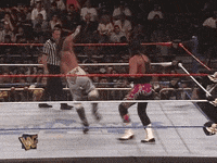 Hbk Sweet Chin Music Gif