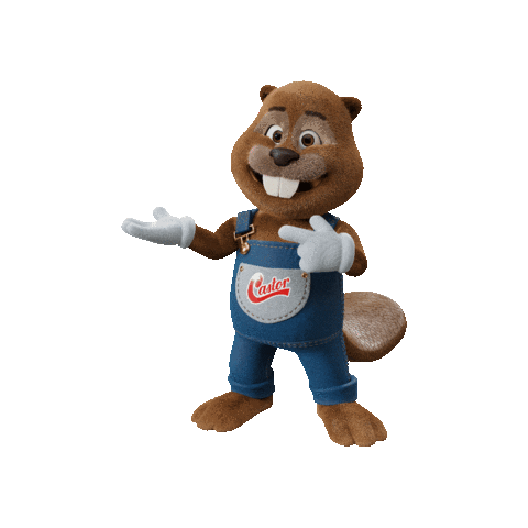 Colchões Castor GIFs on GIPHY - Be Animated