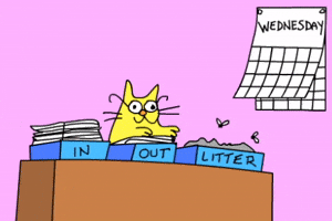 Wednesday Vibes Clips - Find & Share on GIPHY