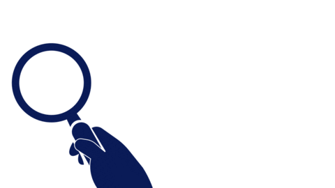 Magnifying Glass Icon Gif