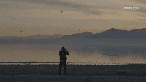 GIF by ABANDONED - Find & Share on GIPHY