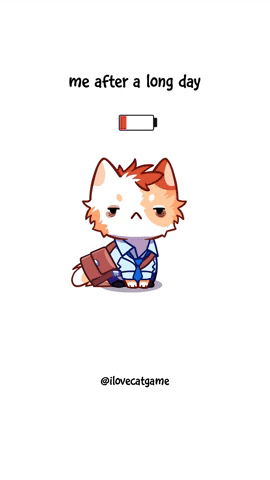 Monday Cat Clips - Find & Share on GIPHY