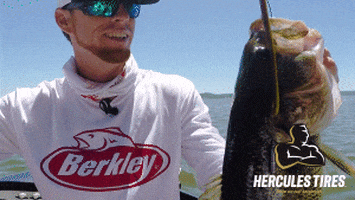 Fishing Bassfishing GIF by Hercules Tires - Find & Share on GIPHY