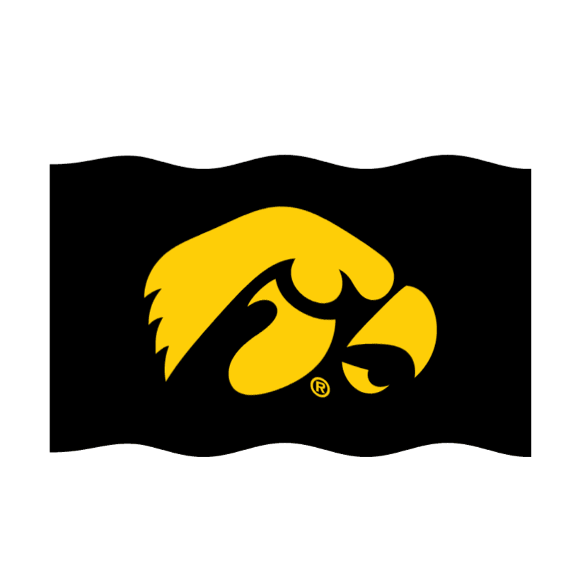 College Hawkeyes Sticker by University of Iowa for iOS & Android | GIPHY