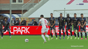 YILPORT SAMSUNSPOR GIFs on GIPHY - Be Animated