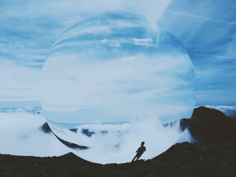 Vida Silvestre GIFs - Get the best GIF on GIPHY