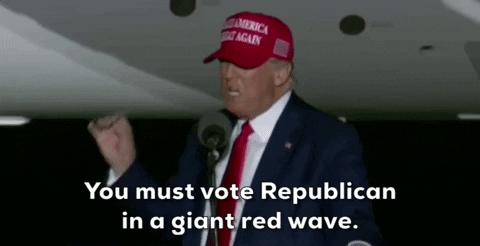 Donald Trump Gop GIF by GIPHY News - Find & Share on GIPHY