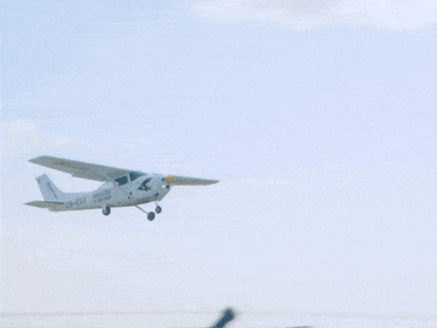 Aviao GIFs - Get the best GIF on GIPHY