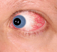 Eye Ball GIFs - Get the best GIF on GIPHY