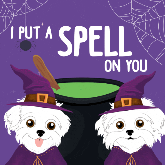 I Cast A Spell On You GIFs - Find & Share on GIPHY