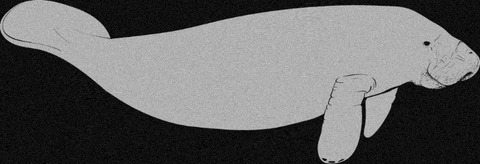 SMC Logos GIFs on GIPHY - Be Animated