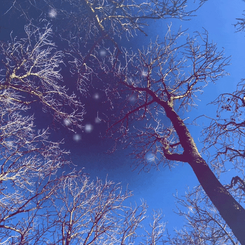 Fairy Sparkle GIFs - Get the best GIF on GIPHY