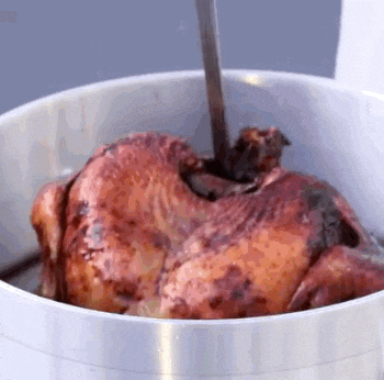 Turkey Day GIFs - Get the best GIF on GIPHY