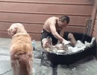 Best scrubbing GIFs - Primo GIF - Latest Animated GIFs