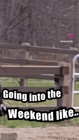 Going Into The Weekend Like GIFs - Find & Share on GIPHY