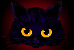 Blinking Cat GIFs - Find & Share on GIPHY