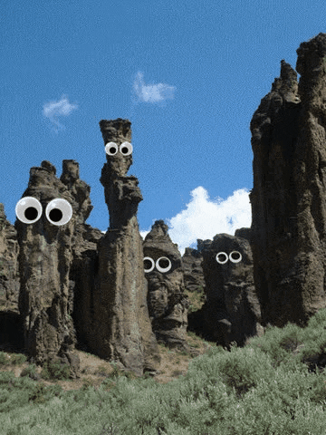 Googly Eye GIFs - Find & Share on GIPHY
