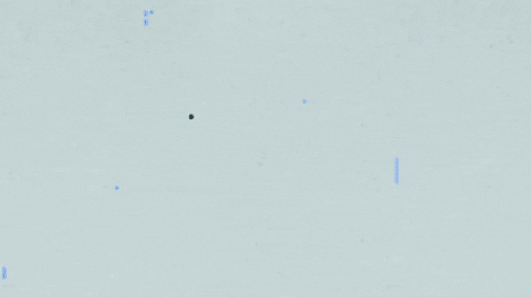 Soothinggel GIFs - Get the best GIF on GIPHY