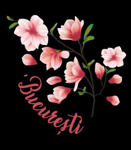 Romania Bucharest GIF by CircleSquare - Find & Share on GIPHY